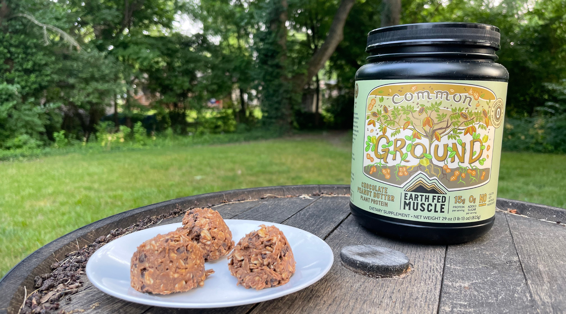 Chocolate Peanut Butter Plant Protein Energy Balls – Earth Fed Muscle