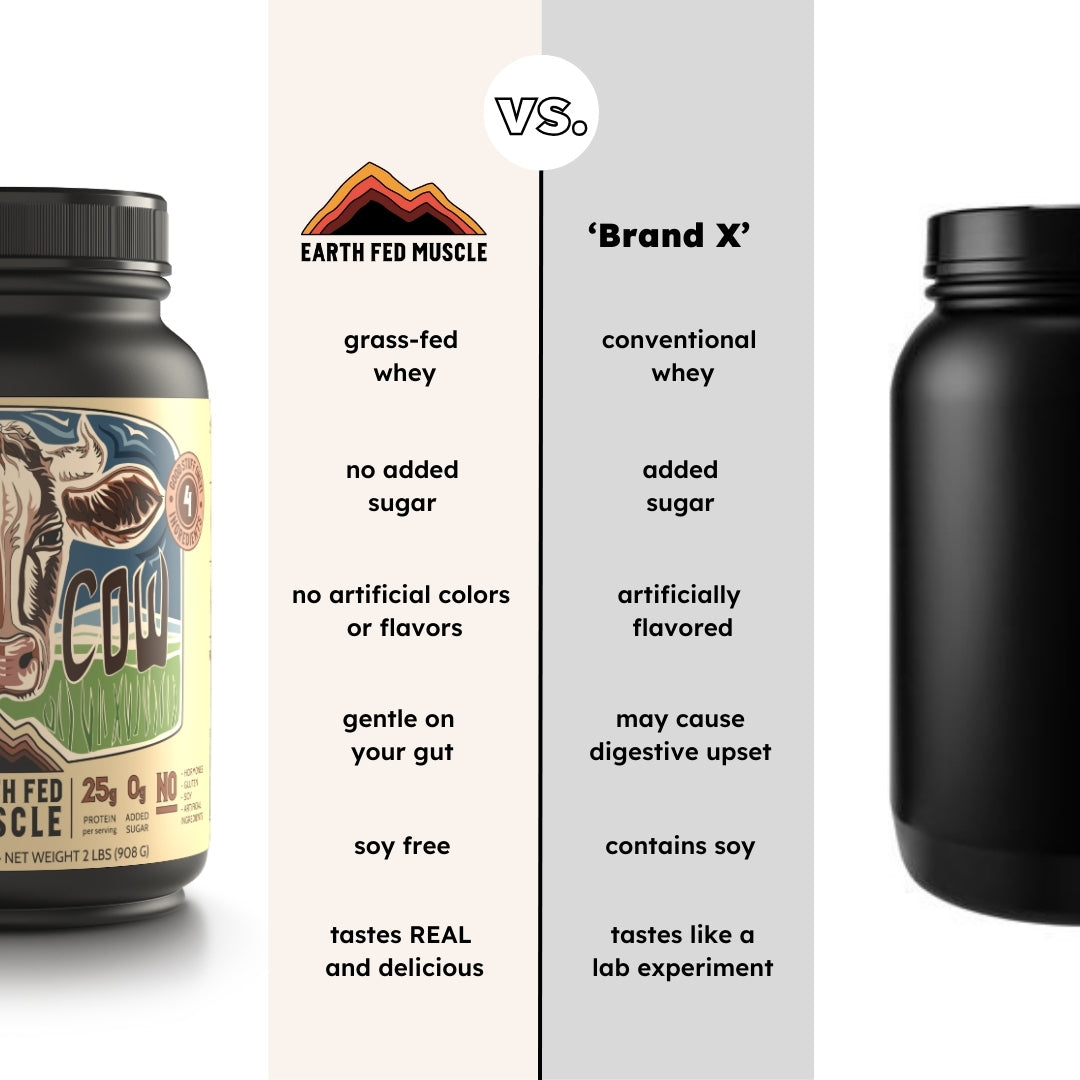 Cacao Chocolate | Best Tasting Whey Protein Isolate Powder | Truly ...