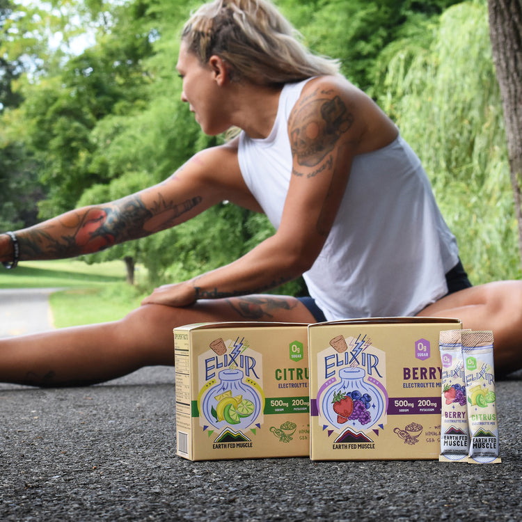 Elixir Electrolyte Mix Packets with Himalayan Sea Salt – Earth Fed Muscle