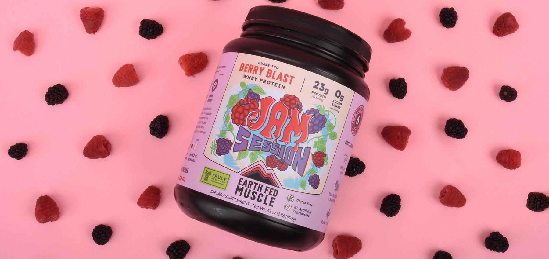 SEASONAL FLAVOR: Jam Session Berry Blast Grass-Fed Whey Protein – Earth ...