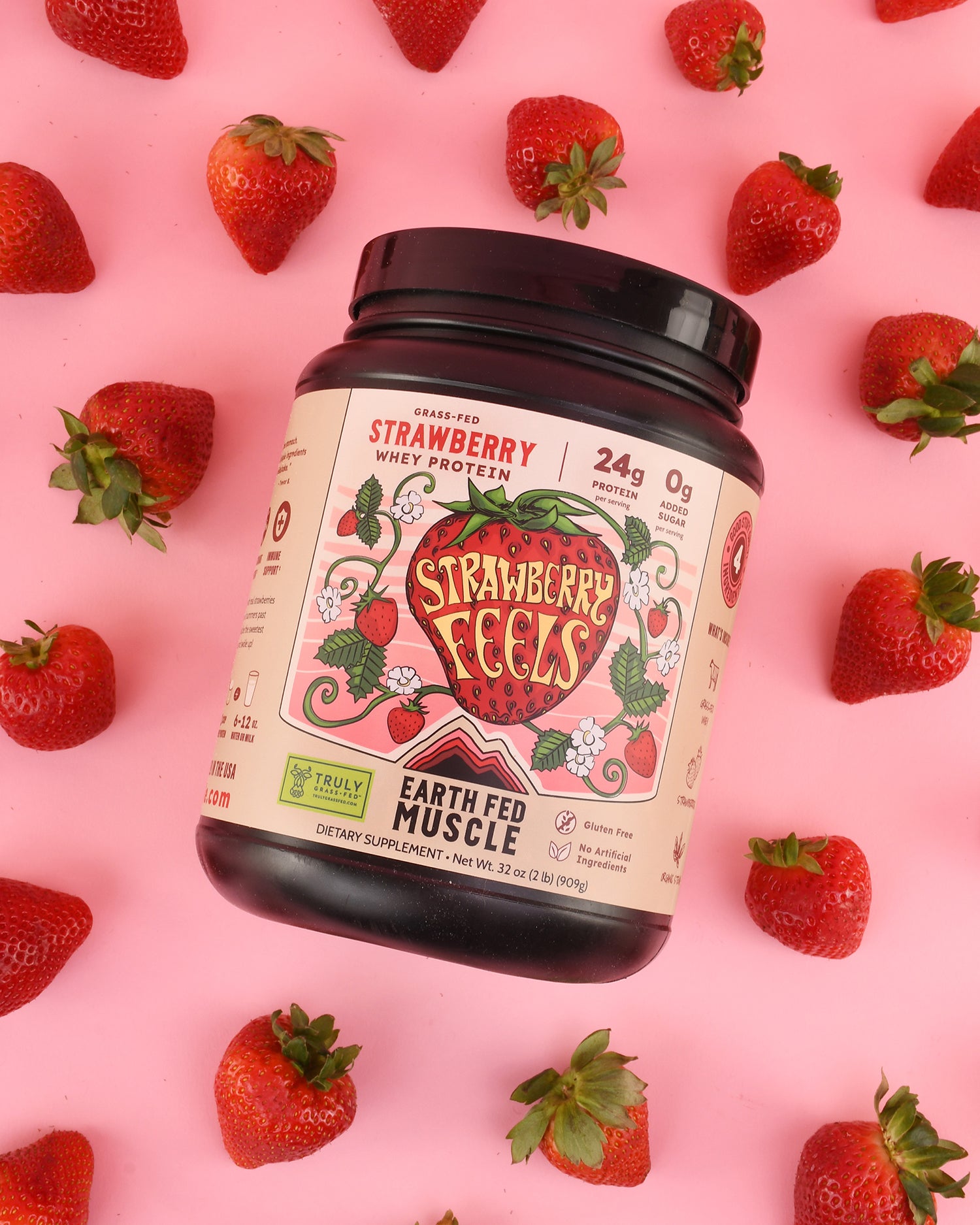 Strawberry | Best Tasting Whey Protein Isolate Powder | Truly Grass Fed ...