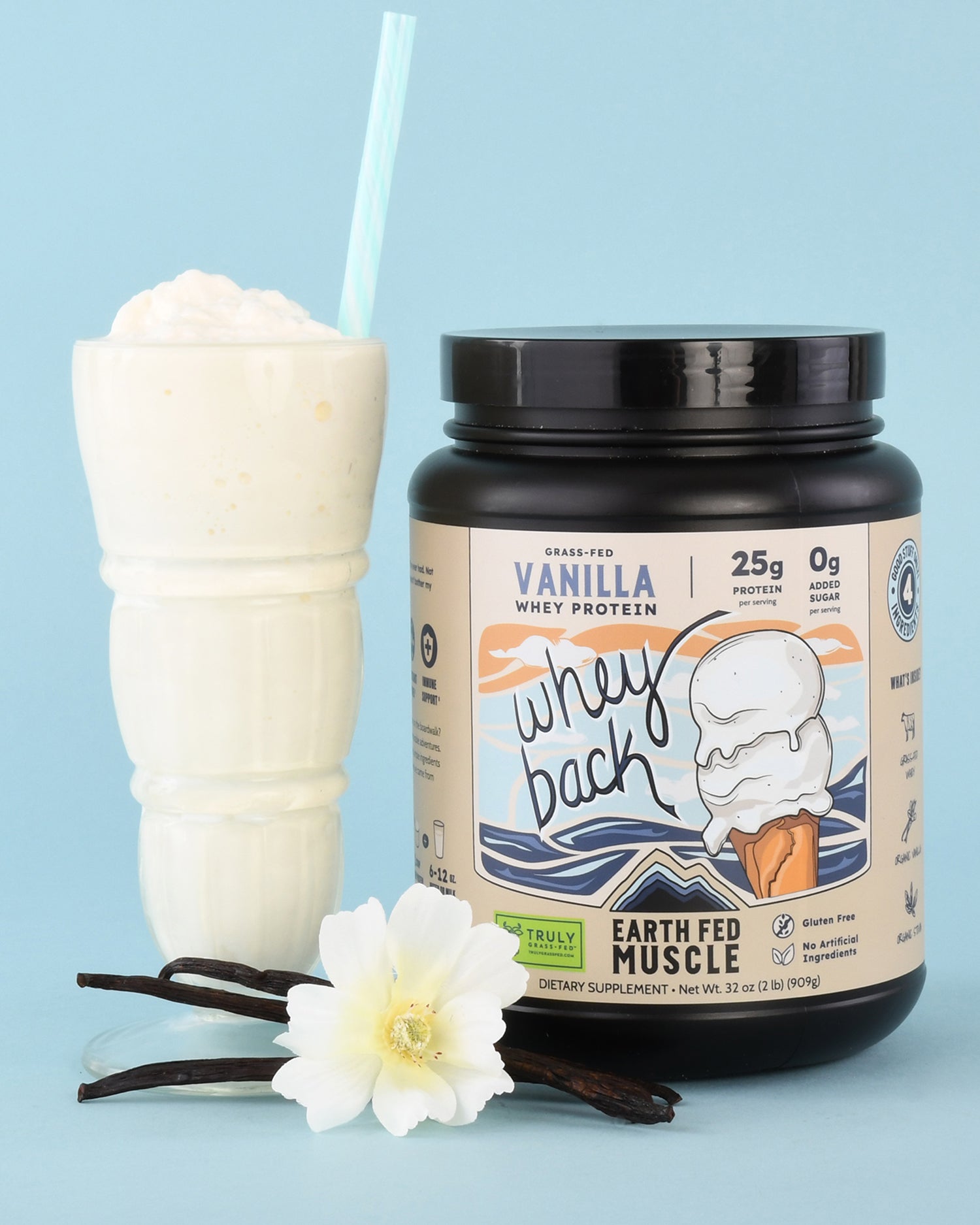 Vanilla Ice Cream | Best Tasting Whey Protein Isolate Powder | Truly ...