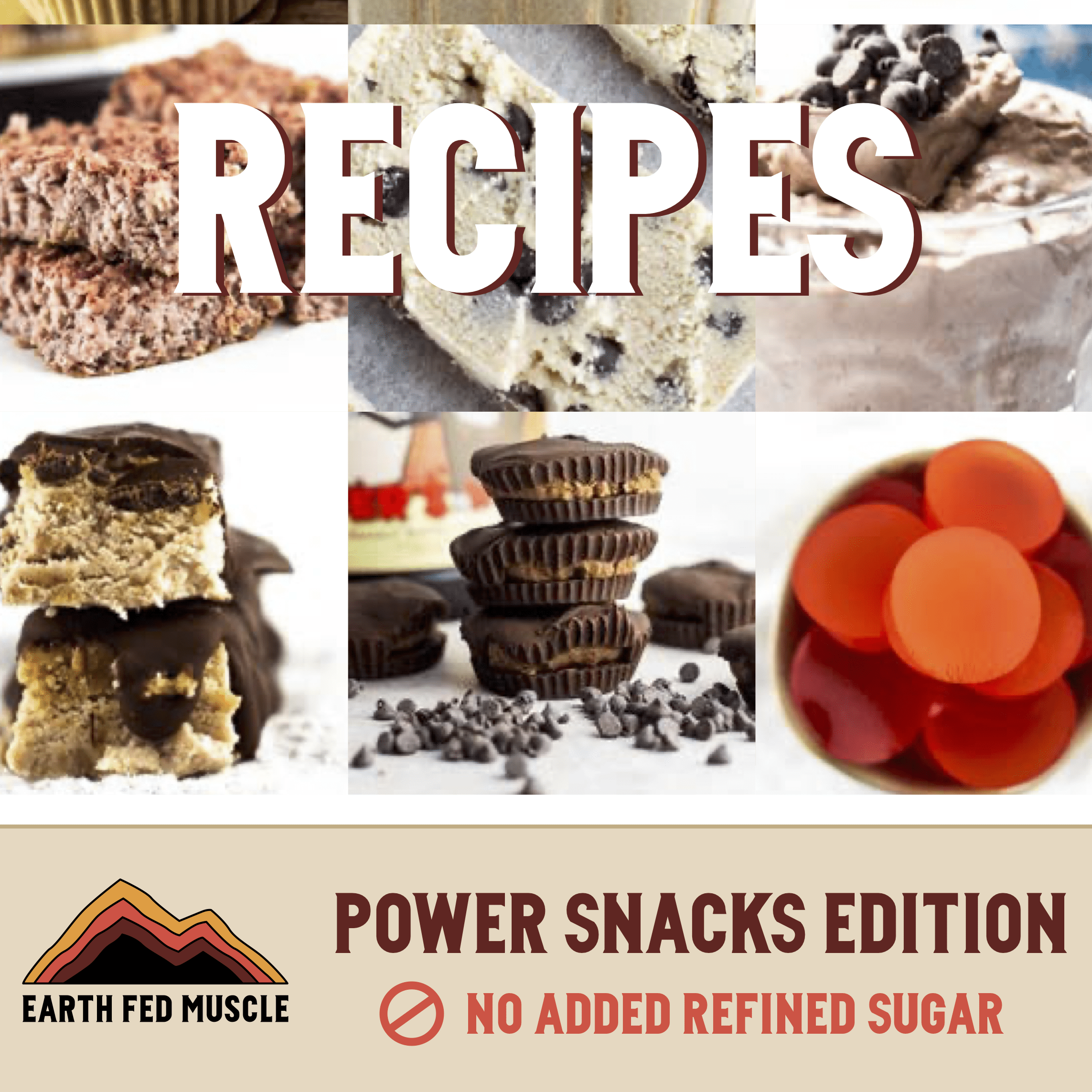 EFM Recipe Book - No Sugar Power Snacks – Earth Fed Muscle